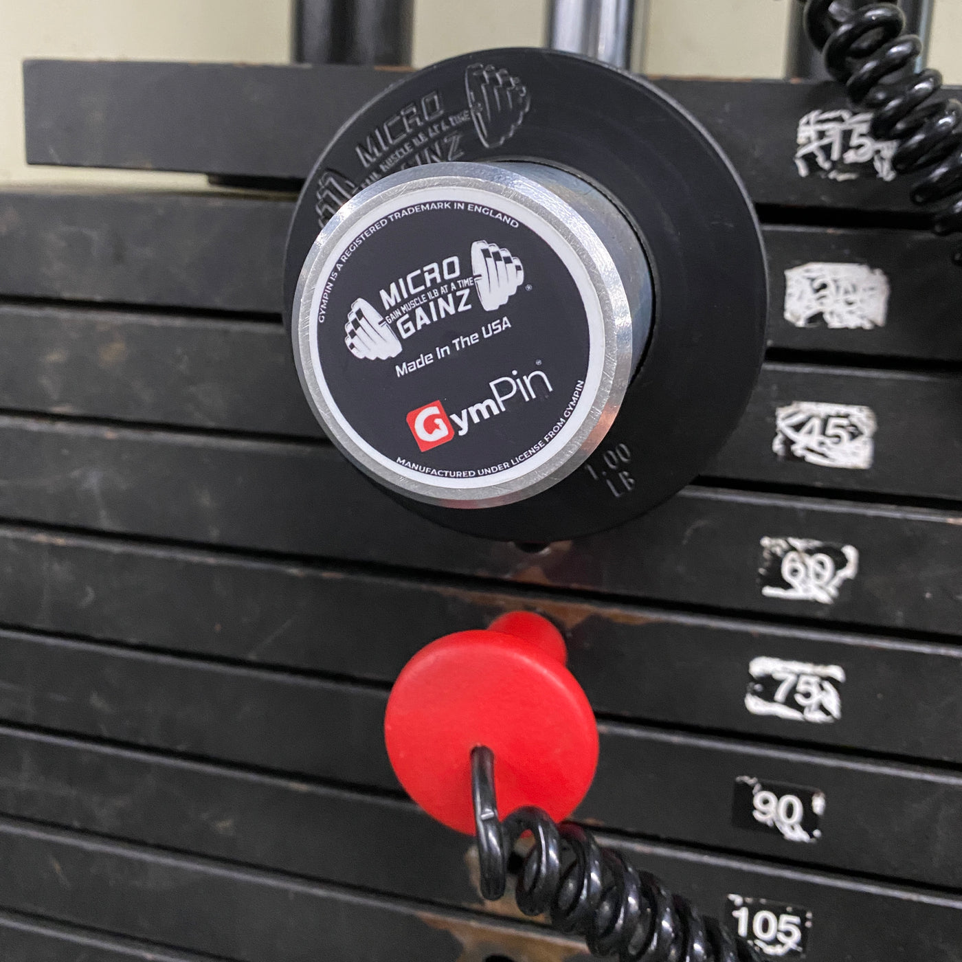 Micro Gainz l The World's Best Fractional Plates